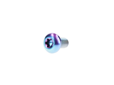Titanium Screw M5x10 with Lens Head Torx oil slick, 2,50