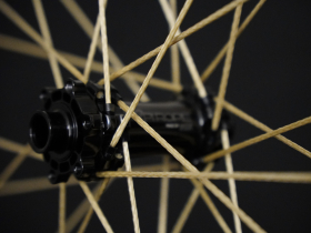 PI ROPE Laufradsatz 29" Light 6-Loch Bike Ahead Two Six | Golden Shine