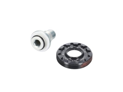 CANNONDALE Axle Cap and Bolt for Lefty Hub [QC117] 17g, 17,50